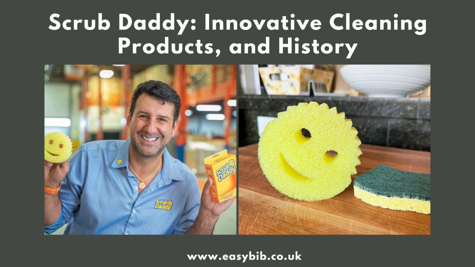 Scrub Daddy: Innovative Cleaning Products, and History