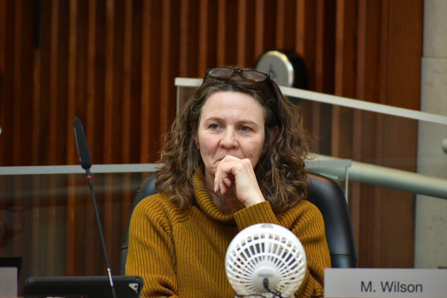 Maureen Wilson: Robert Plant's Ex-Wife