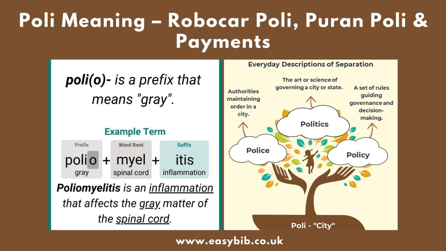 Poli Meaning – Robocar Poli, Puran Poli & Payments