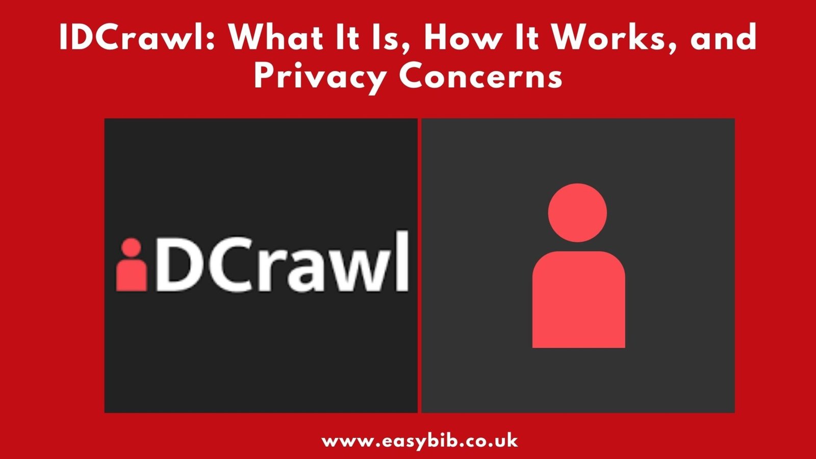 IDCrawl: What It Is, How It Works, and Privacy Concerns